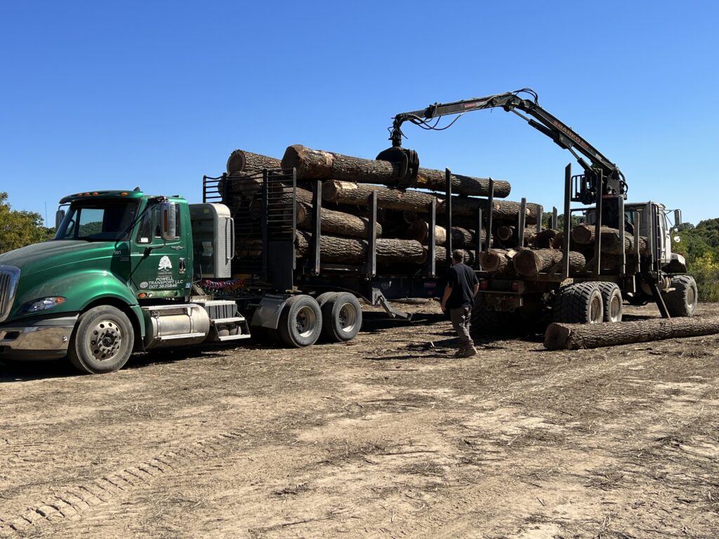 Best Logging Contractors Iroquois County IL | Tree Appraisal